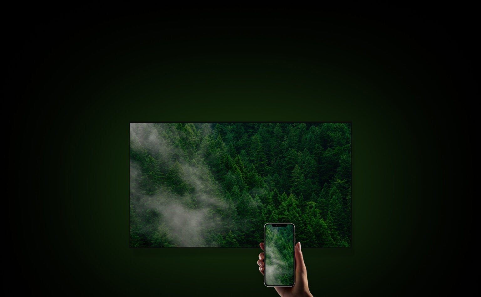 Roku Screen Mirroring iPhone & iPad App | Cast In 1 Minute